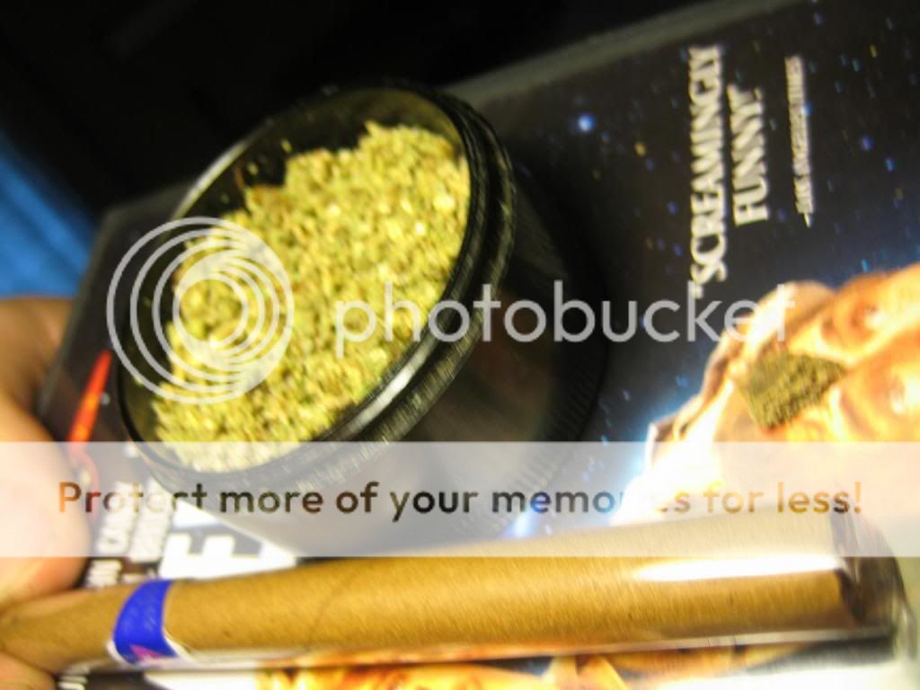 Alaska Dank -Hash Blunt *macros* Enjoy | Grasscity Forums - The #1 ...