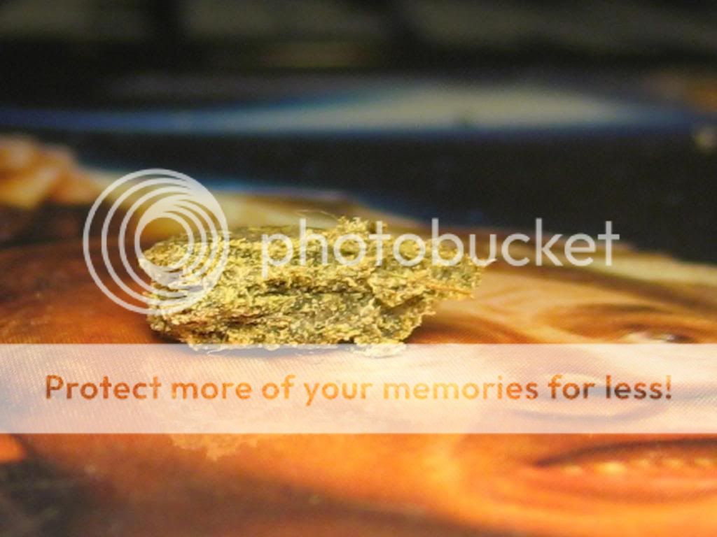 Alaska Dank -Hash Blunt *macros* Enjoy | Grasscity Forums - The #1 ...