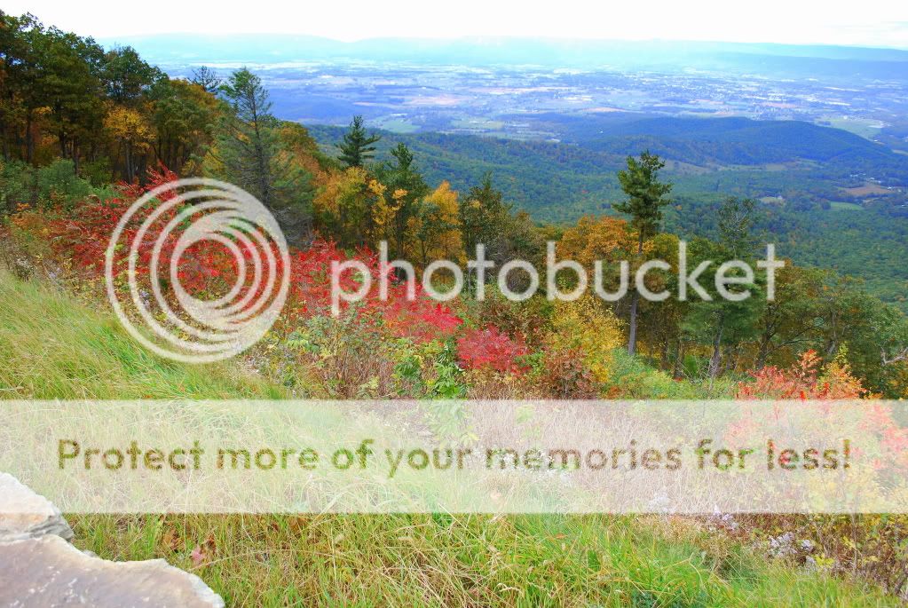 2009 skyline drive fall colors... | 8th Generation Honda Civic Forum